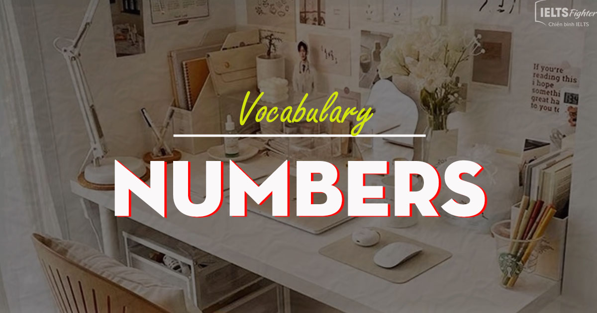 Unit 24 : Numbers - Con số