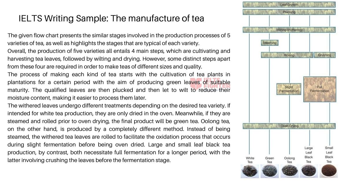 IELTS Speaking topic Learning languages